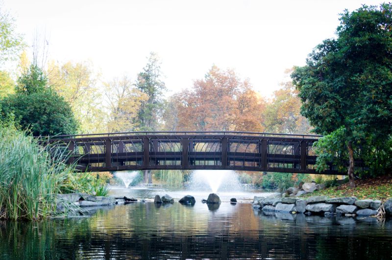 Wright Park Pedestrian Bridge - Peterson Structural Engineers